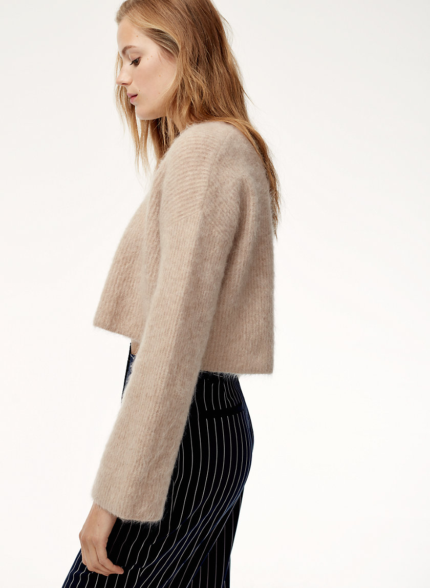 Babaton DELTON SWEATER | Aritzia CA