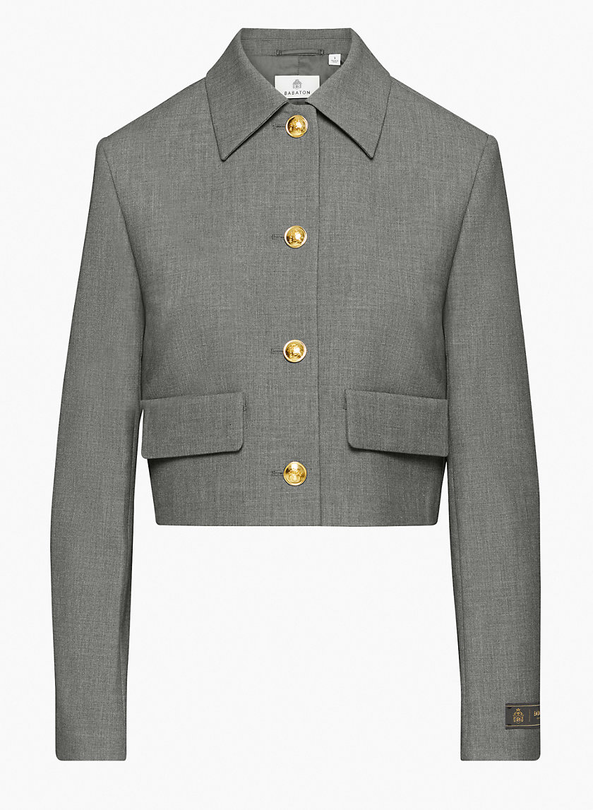 Babaton FRANCES JACKET | Aritzia US