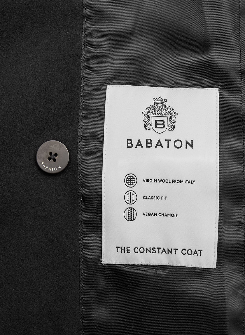 Babaton THE CONSTANT™ COAT | Aritzia INTL