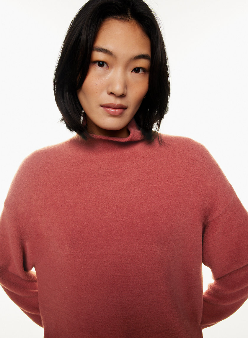 Wilfred Free HUSH KNIT TURTLENECK | Aritzia INTL
