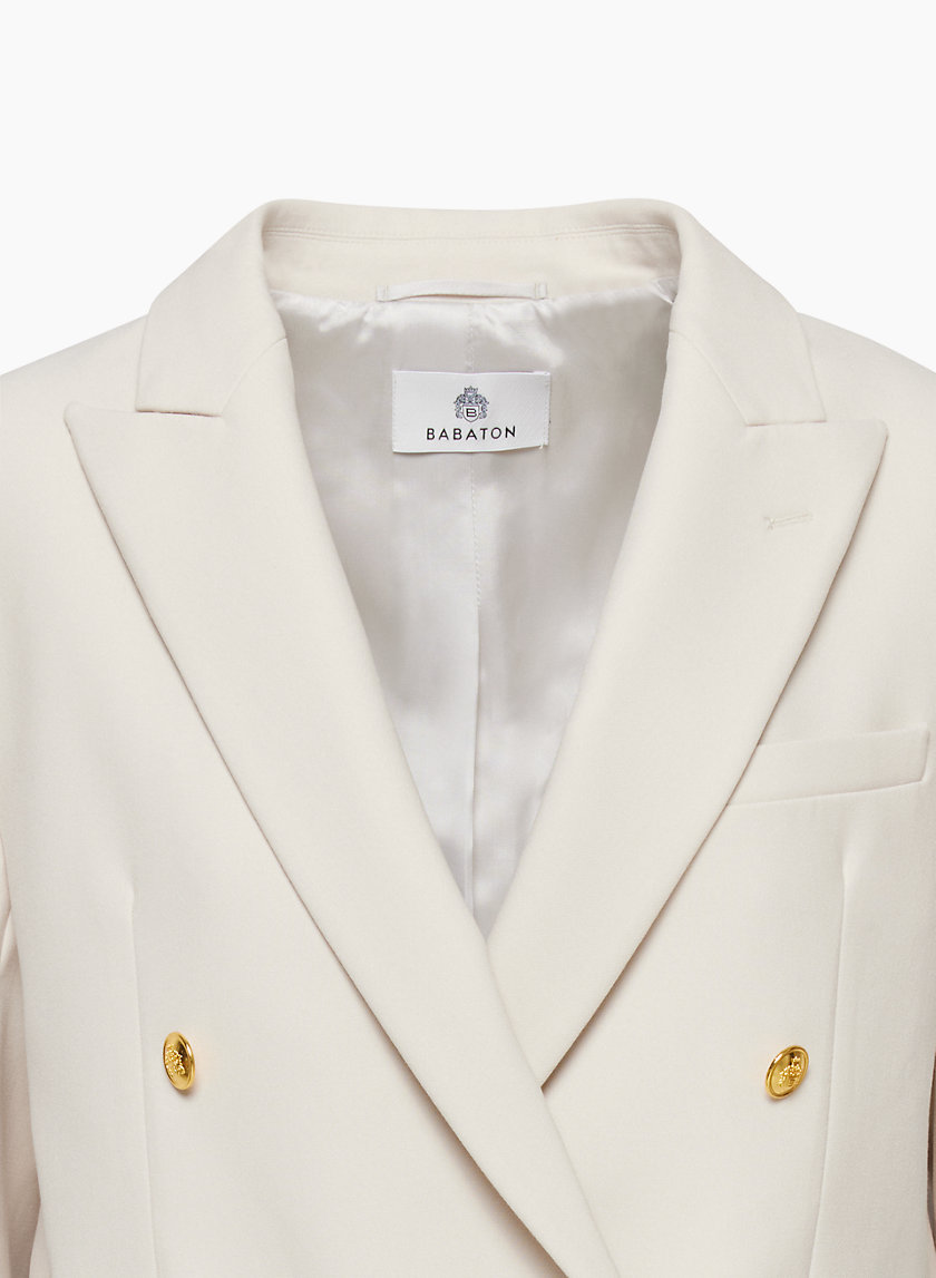 Babaton STATUS BLAZER | Aritzia US