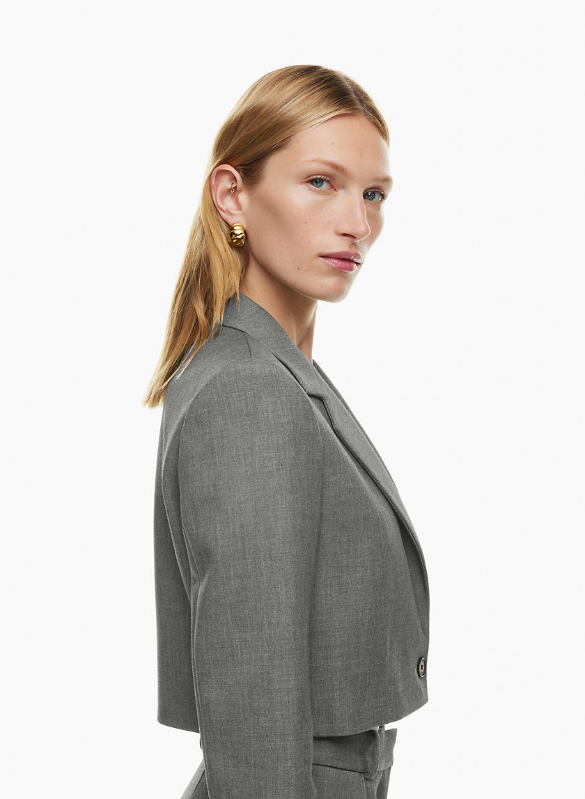 Babaton ARBUS BLAZER | Aritzia CA
