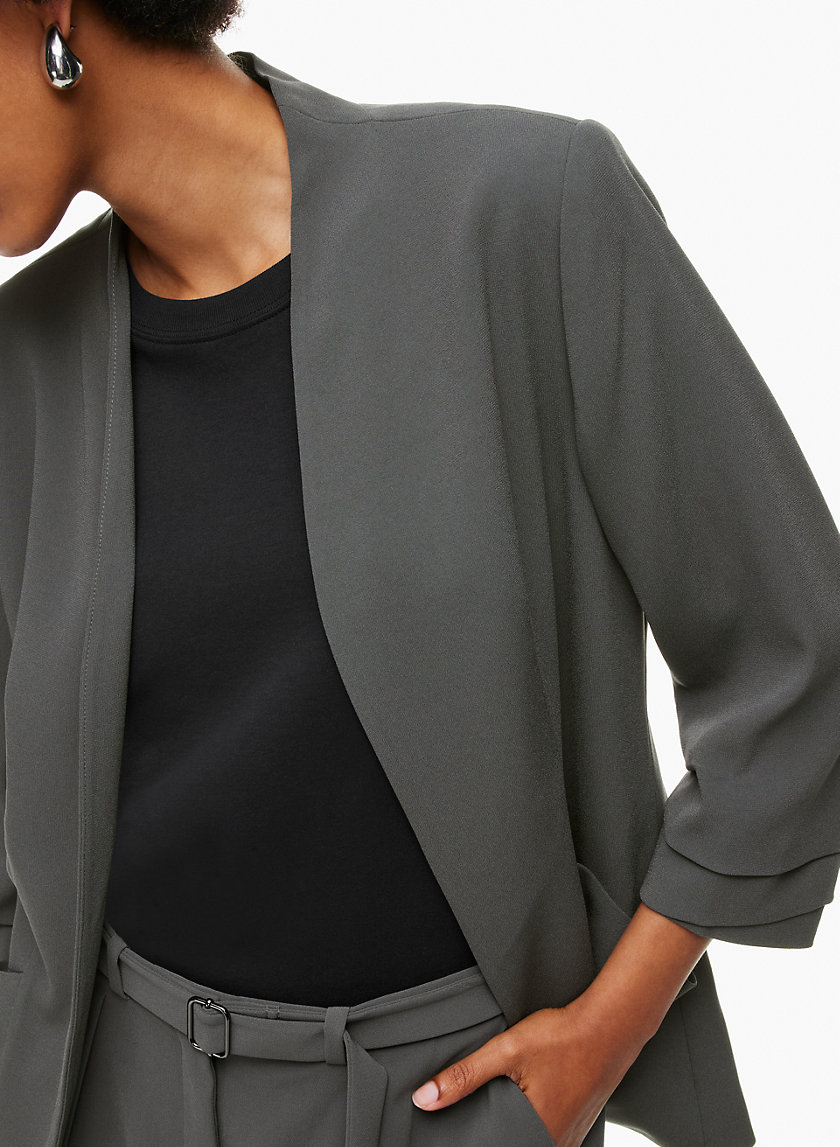 Babaton FORTE BLAZER | Aritzia CA