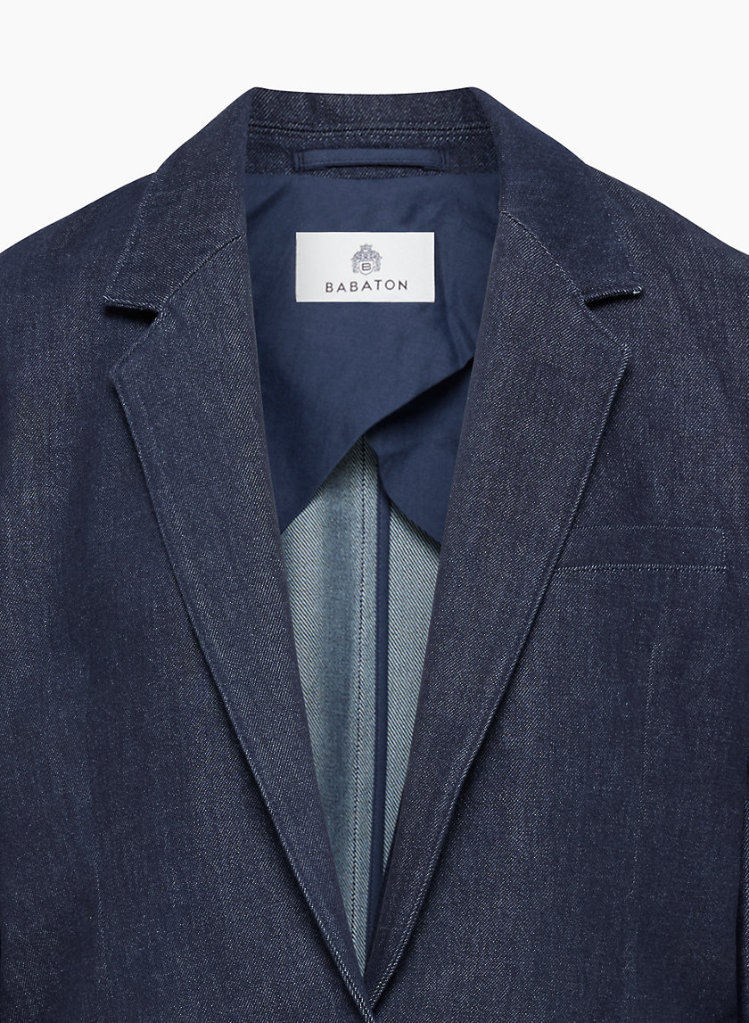 Babaton ADAPTATION BLAZER | Aritzia CA