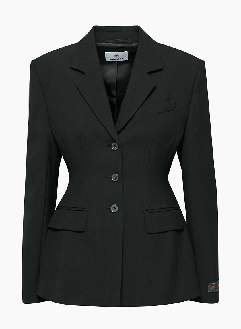 Babaton STANDOUT BLAZER | Aritzia US