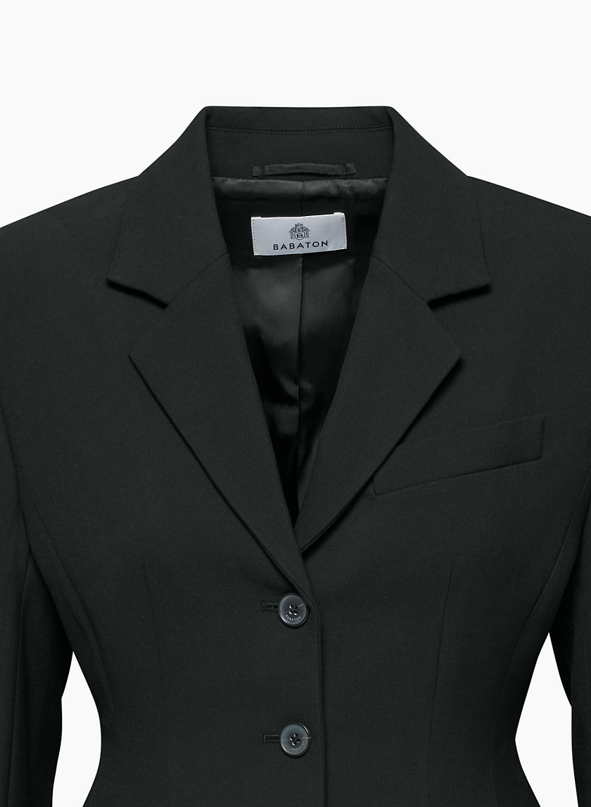 Babaton STANDOUT BLAZER | Aritzia US