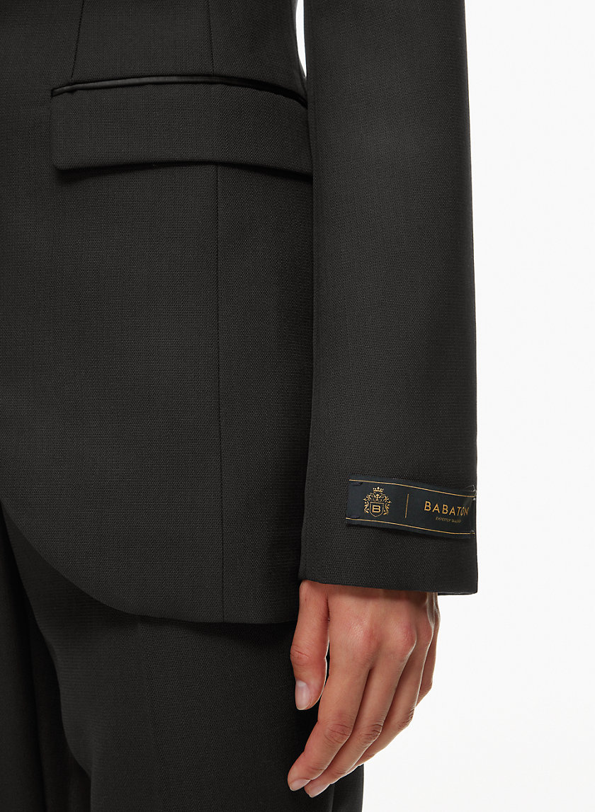 Babaton CONSTRUCT BLAZER | Aritzia US