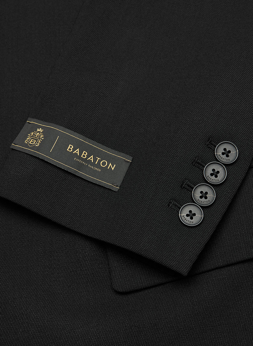 Babaton STRATEGY BLAZER | Aritzia INTL