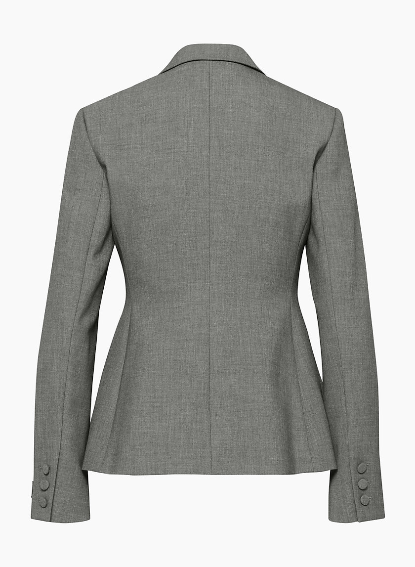 Babaton VENTURE BLAZER | Aritzia US