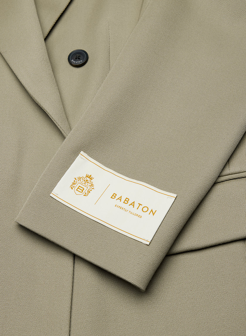 Babaton STATURE COAT | Aritzia CA