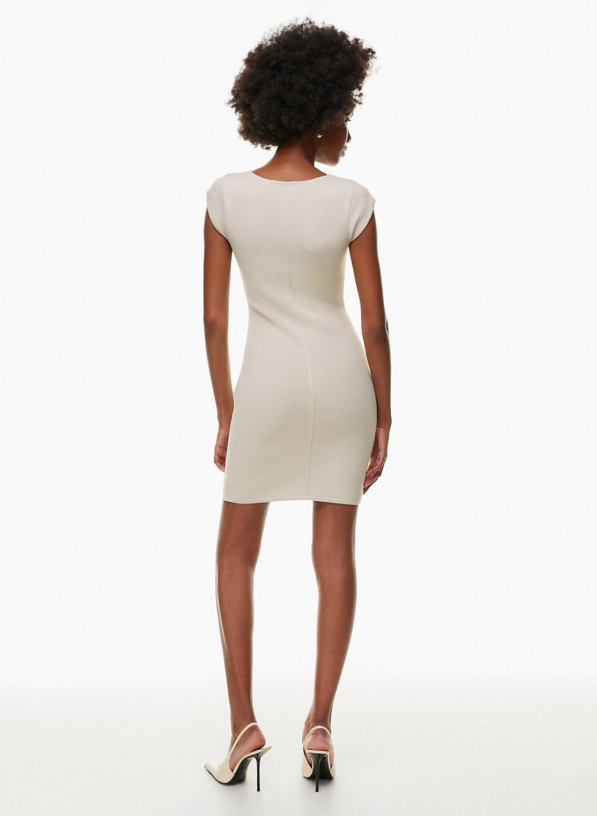 Babaton SCULPT KNIT PRESTIGE DRESS | Aritzia INTL