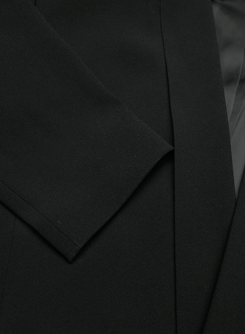 Babaton CAPTAIN BLAZER | Aritzia US