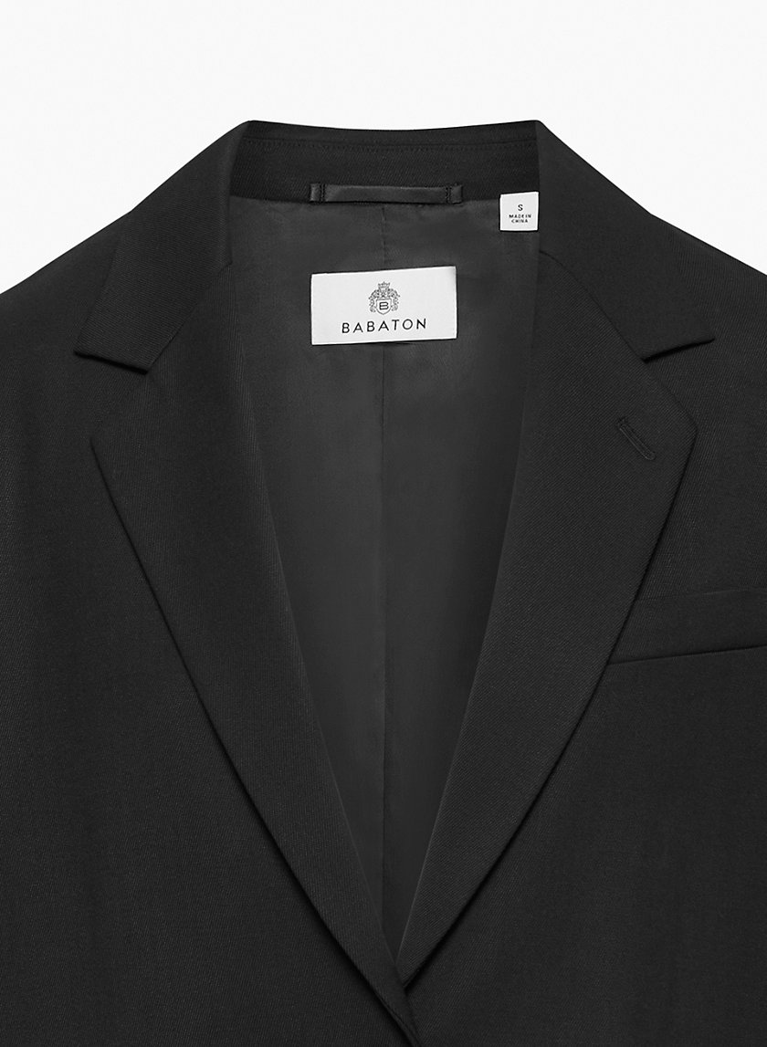 Babaton VOGUE BLAZER | Aritzia US