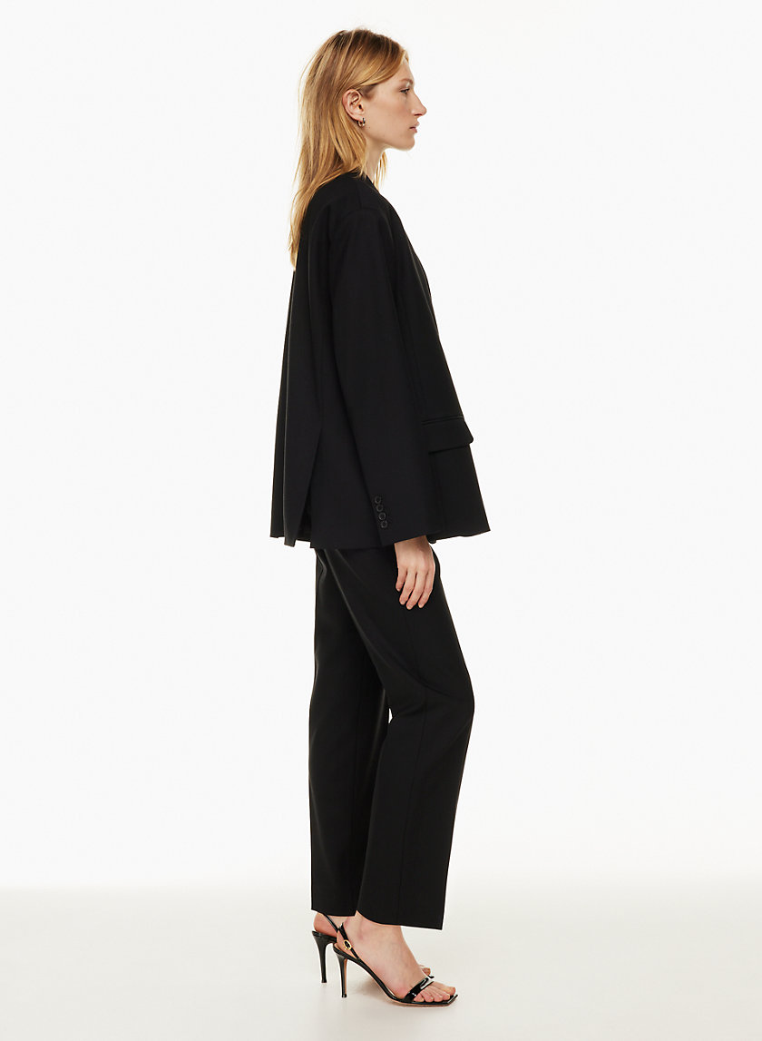 Babaton VOGUE BLAZER | Aritzia US