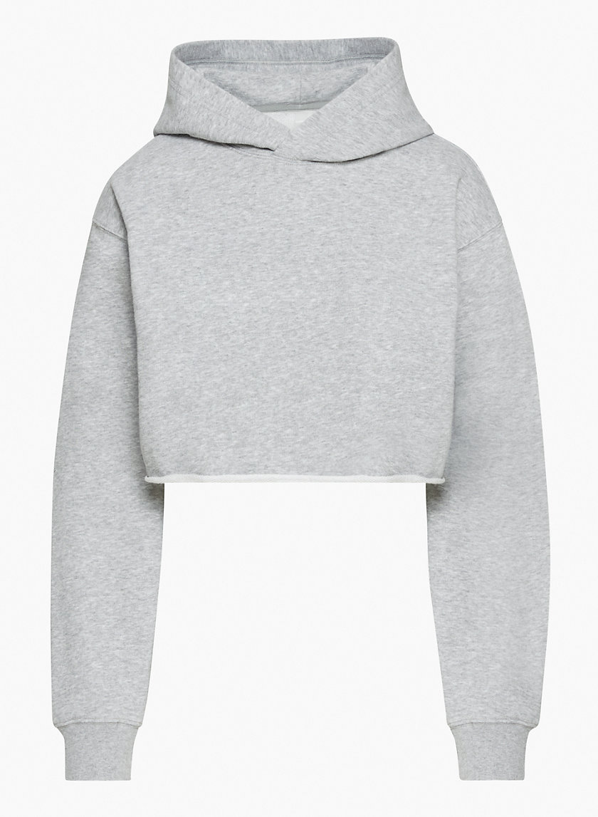The Constant JANSON HOODIE | Aritzia CA