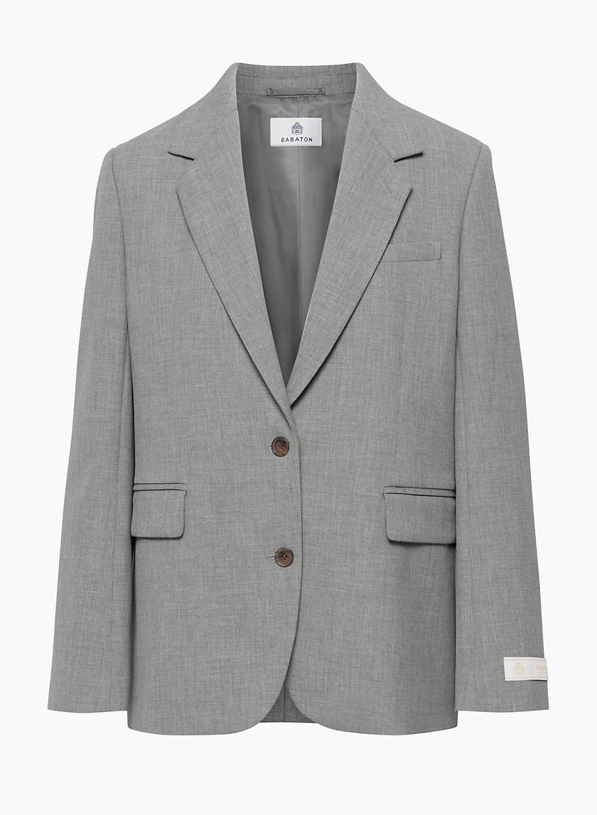 Babaton AGENCY BLAZER | Aritzia US