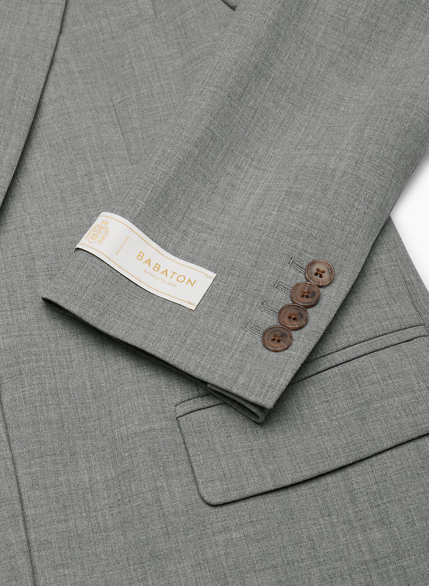 Babaton AGENCY BLAZER | Aritzia US