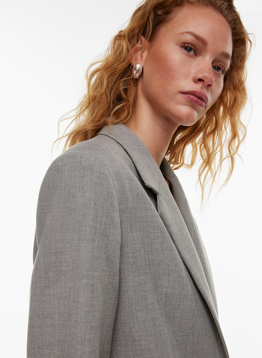 Babaton AGENCY BLAZER | Aritzia US