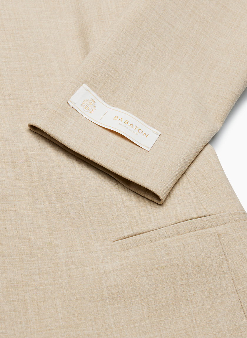 Babaton COMMERCE BLAZER | Aritzia US