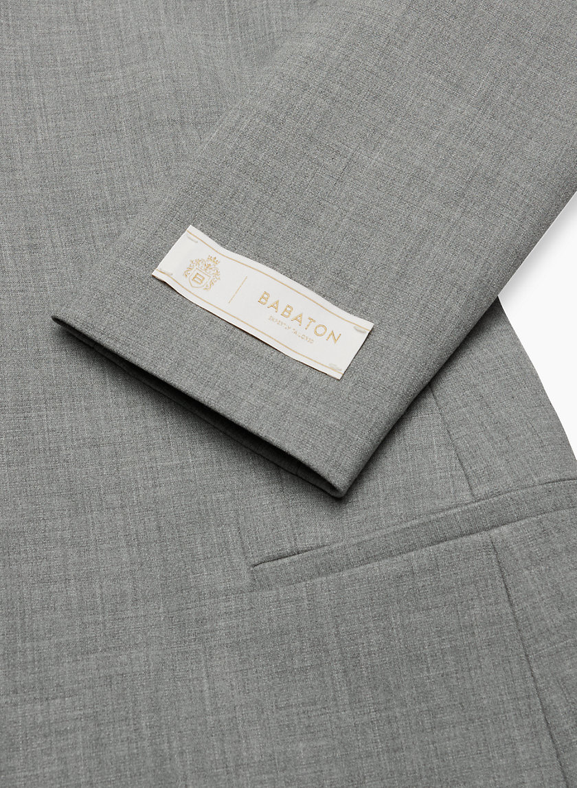 Babaton COMMERCE BLAZER | Aritzia US