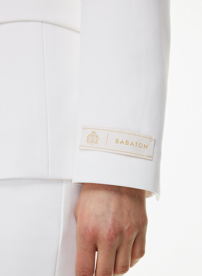 Babaton STANDOUT BLAZER | Aritzia INTL