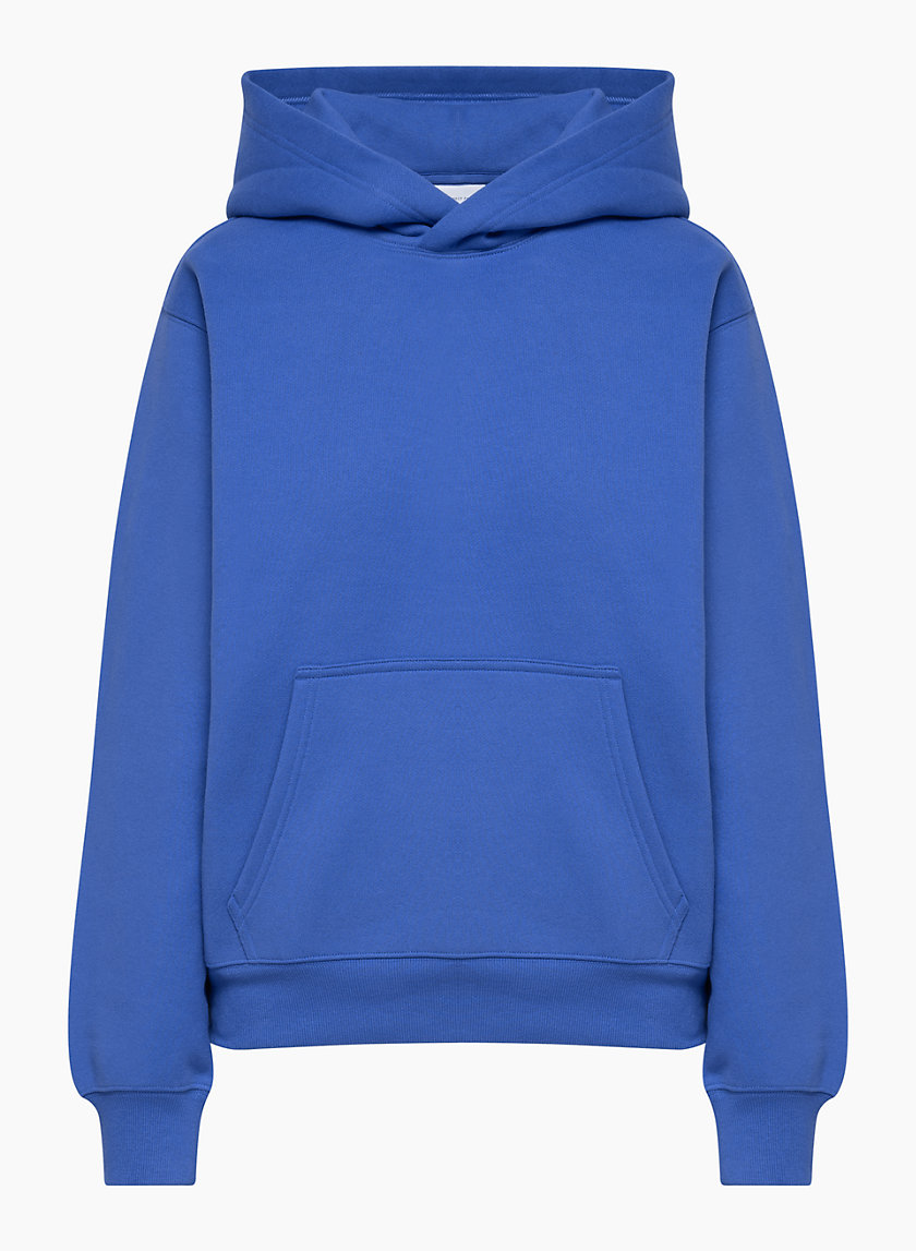 Sweatfleece COZY FLEECE PERFECT HOODIE | Aritzia INTL