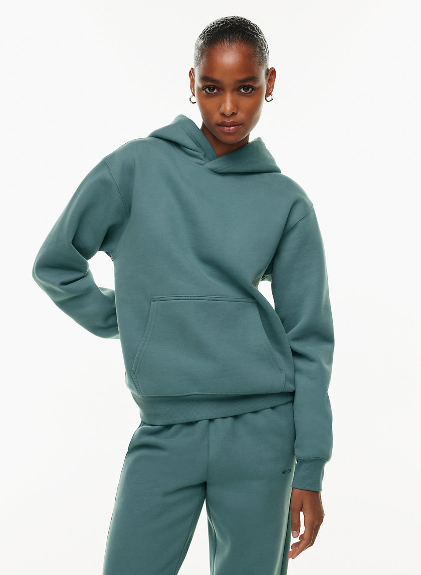 Aritzia COZY FLEECE PERFECT HOODIE