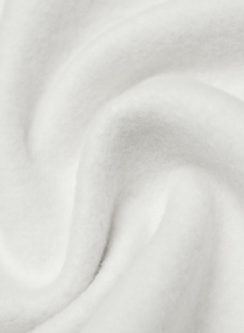Aritzia COZY FLEECE MEGA RAGLAN™ HOODIE