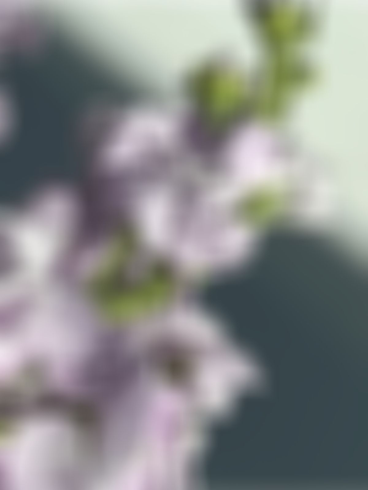 Summer in Colour Edit | Aritzia CA