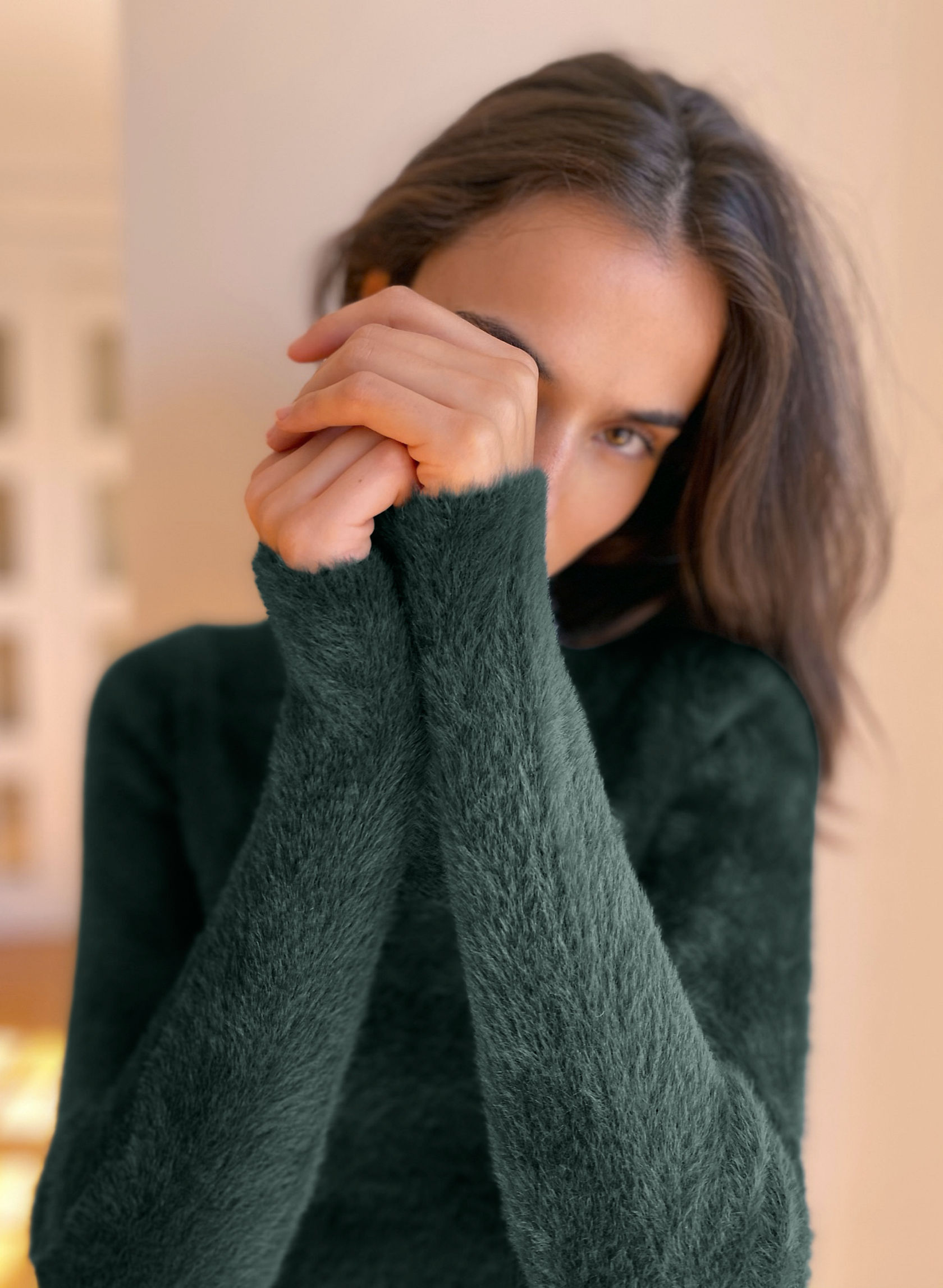 Babaton KUMA SWEATER | Aritzia INTL